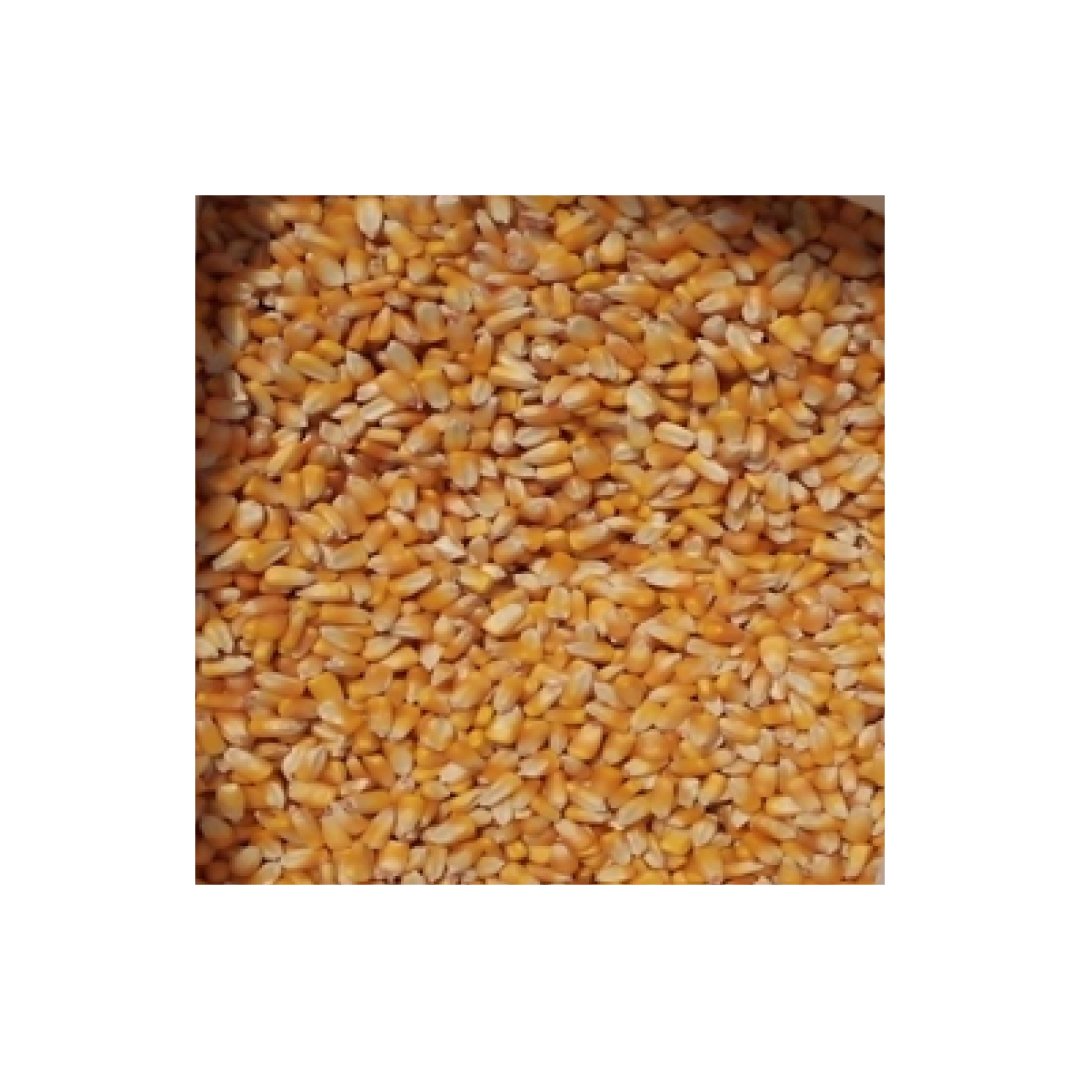 Milho Indústria - Fleck Agronegócios